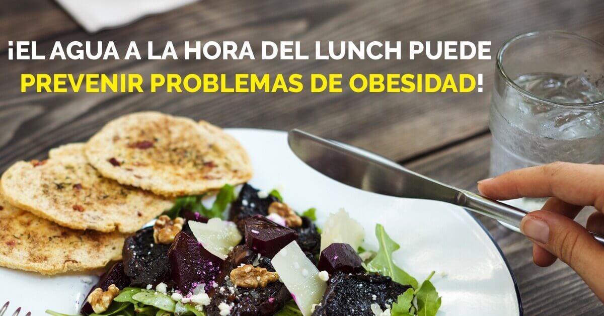 ¡Tomar agua a la hora del lunch puede prevenir la obesidad!