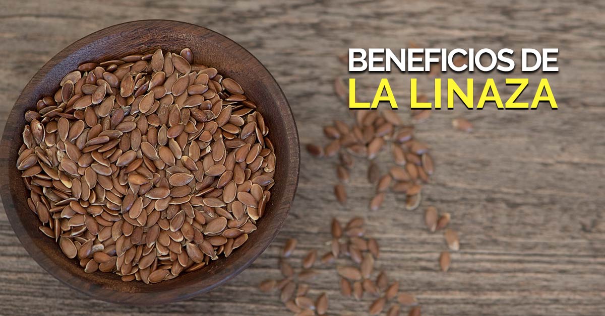 9 beneficios de la linaza para la salud - Cambridge Weight Plan Mexico