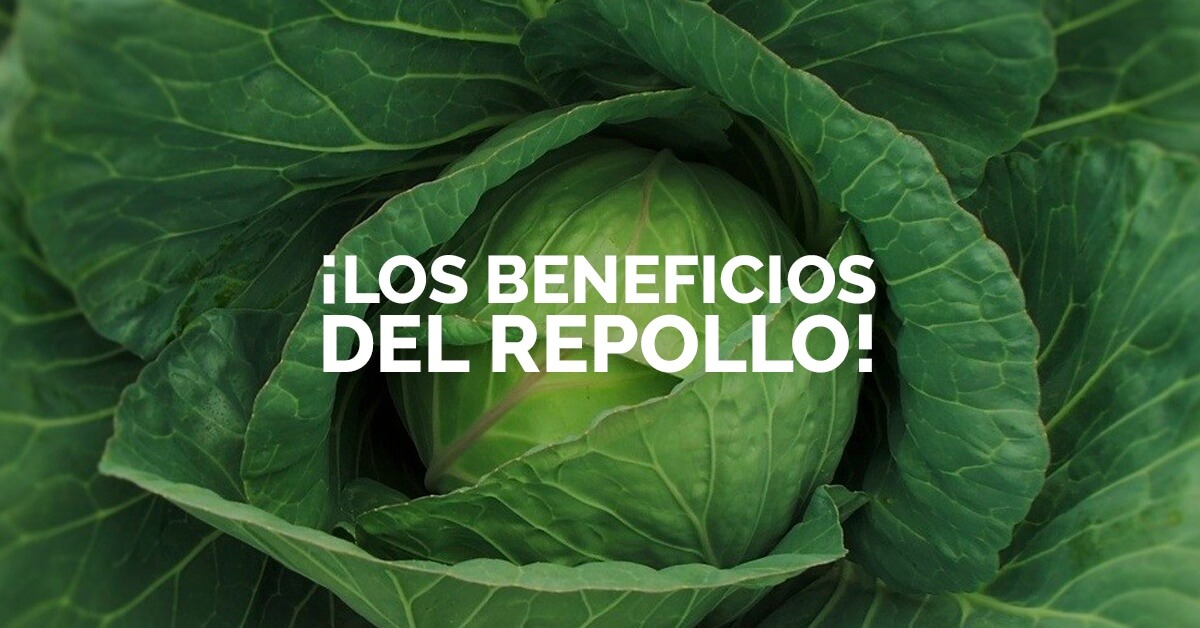 ¡Los beneficios del repollo! - Cambridge Weight Plan Mexico